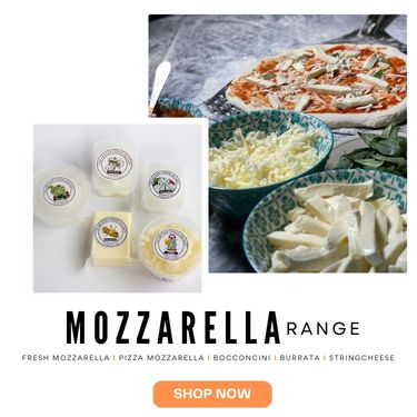 Cheese Shop Pakistan – Artisan Cheese Factory