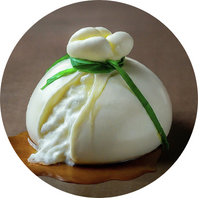 Cheese Shop Pakistan – Artisan Cheese Factory